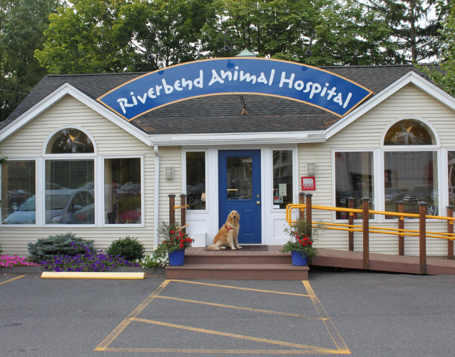 Best Vet Hospital In Hadley, MA | Riverbend Animal Hospital