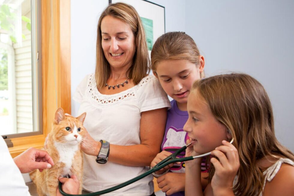 Best Vet Hospital In Hadley, MA | Riverbend Animal Hospital
